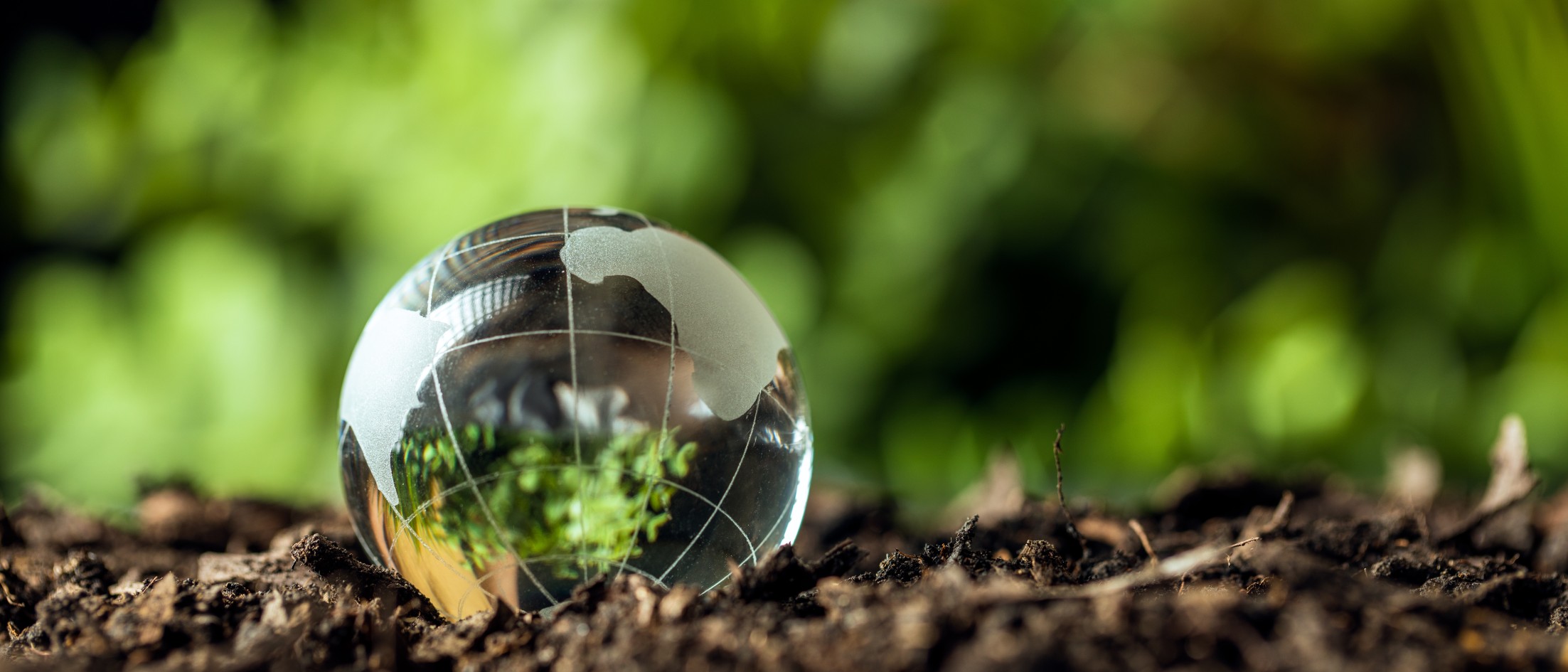 VEKA | VEKA Group commits to net zero target by 2045 | News