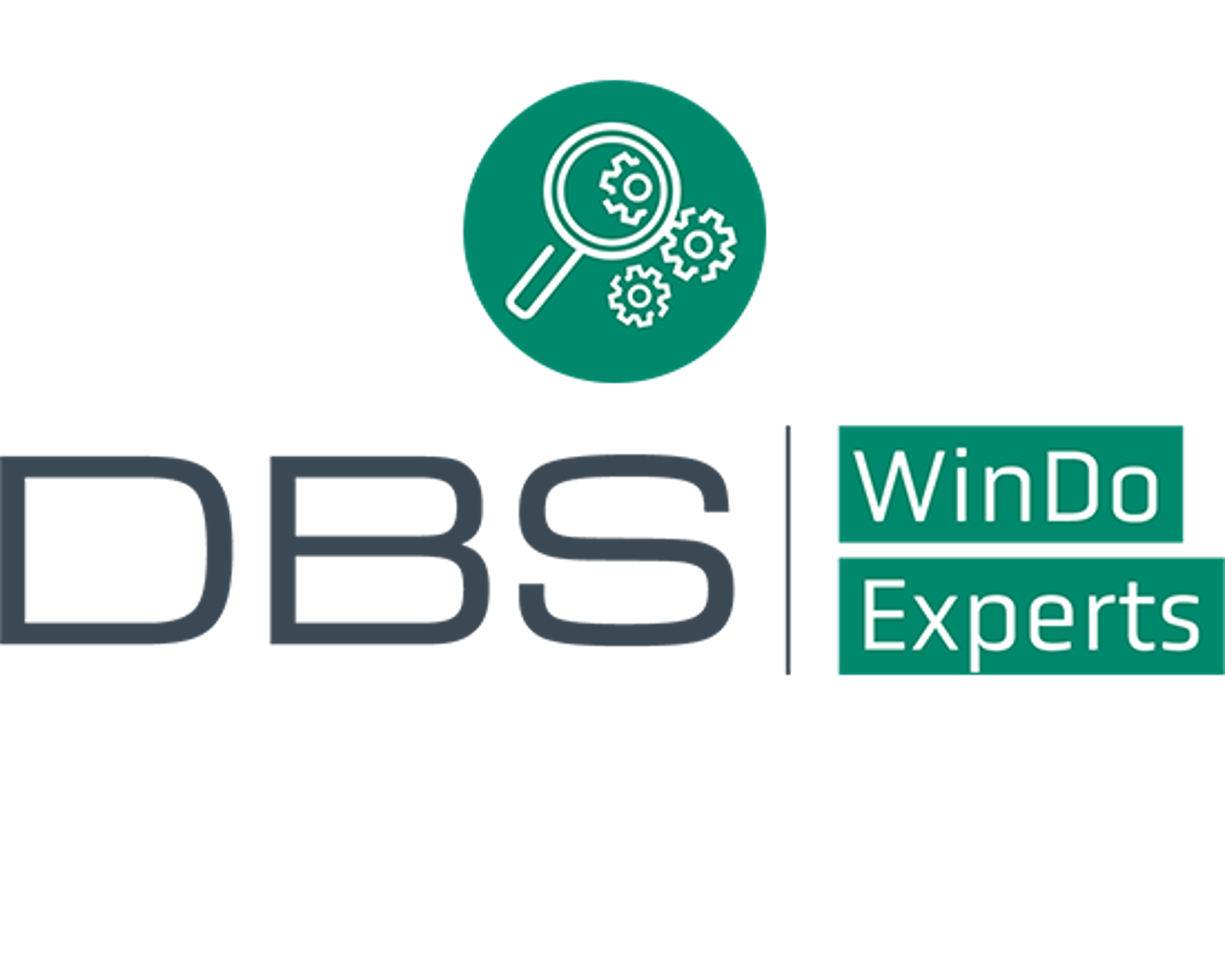 DBS | Master data & consulting| DBS WinDo Experts